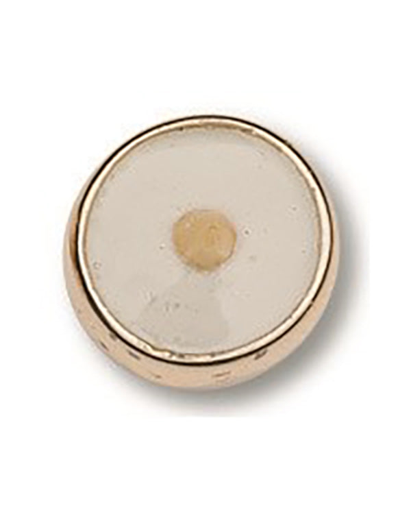 Gold-Plated Mustard Seed Lapel Pin – Joseph's